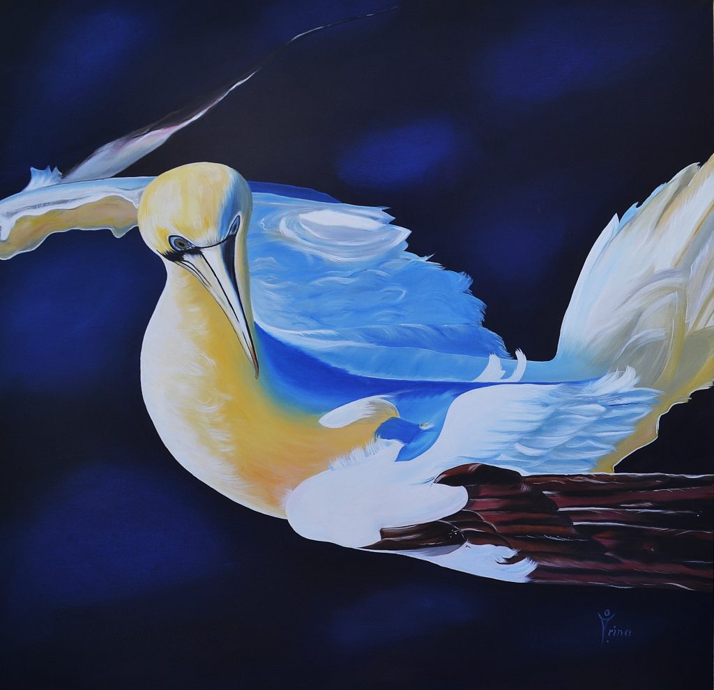 Kaufen - Irina Habermann